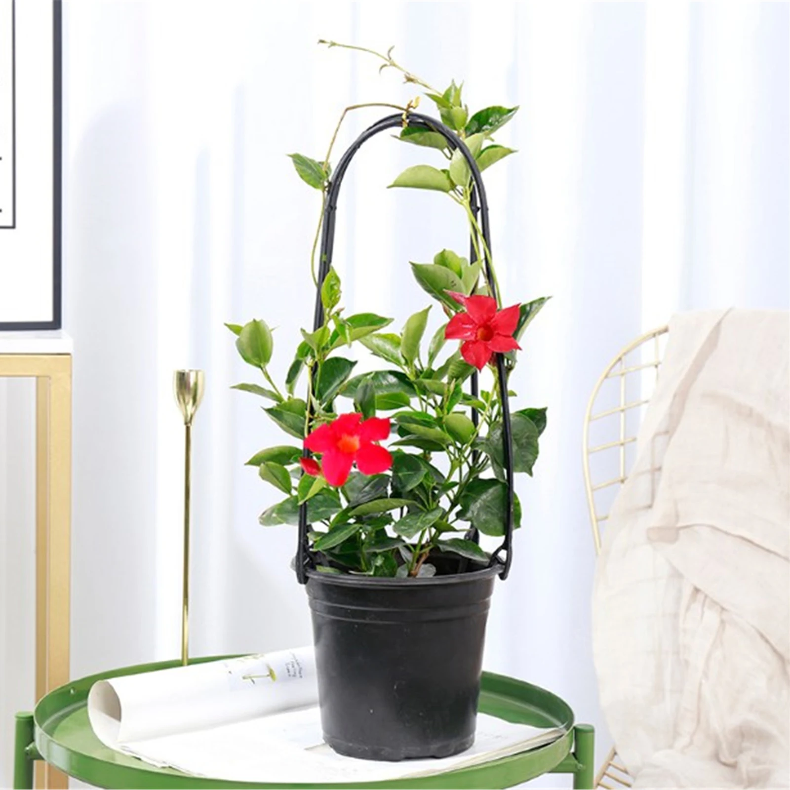 Bamboo Trellis Climbing Plants | Bamboo Climbing Frame Plants | Frames ...