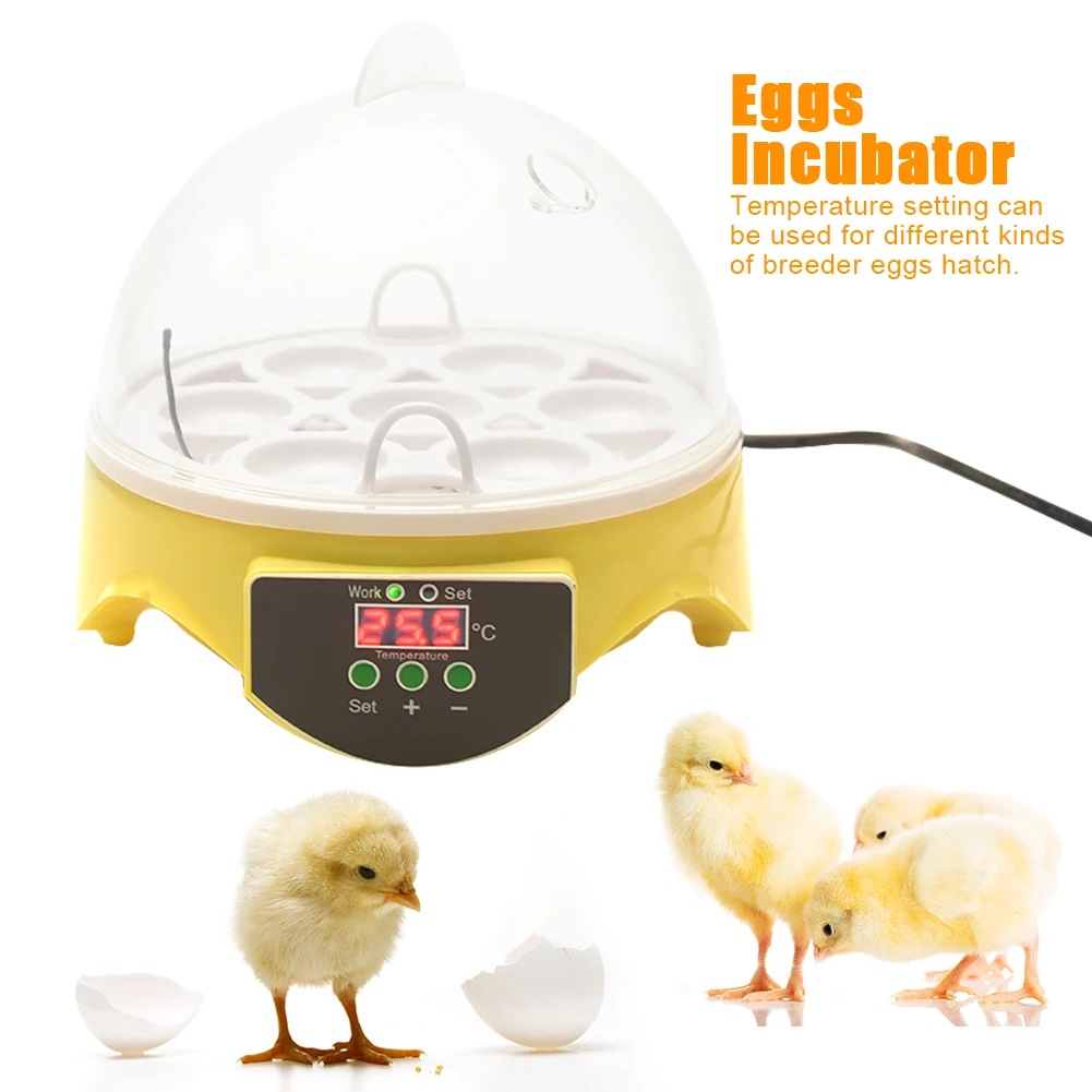 Incubadora automática de 7 huevos, Control de temperatura, para pollos y palomas| | - AliExpress