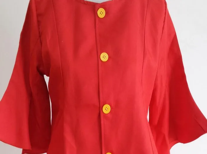 One Piece Monkey D. Luffy Costume | One piece Merchandise | Up to 80% ...