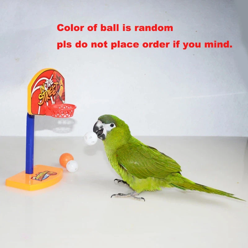 Funny Parrot Pictures With Captions