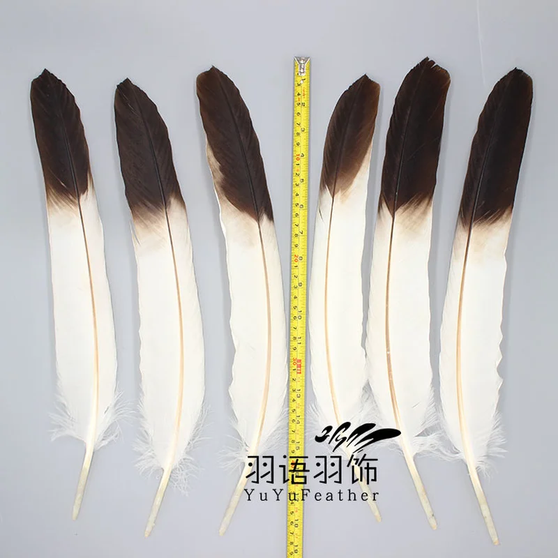 1PC-Rare-Eagle-Feather-Bow-and-Arrow-Feather-Rare-Horse-Eagle-Feather ...