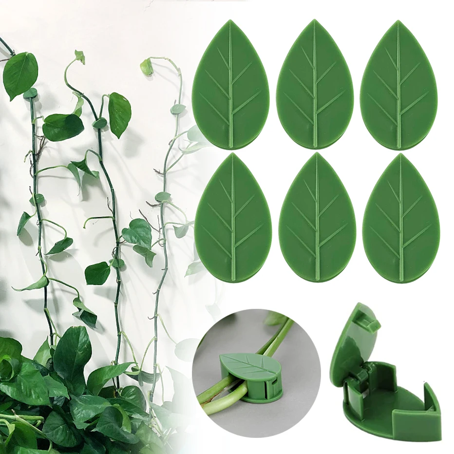 10pcs-Invisible-Plant-Climbing-Wall-Fixture-Clips-Leaf-Shaped-Self ...
