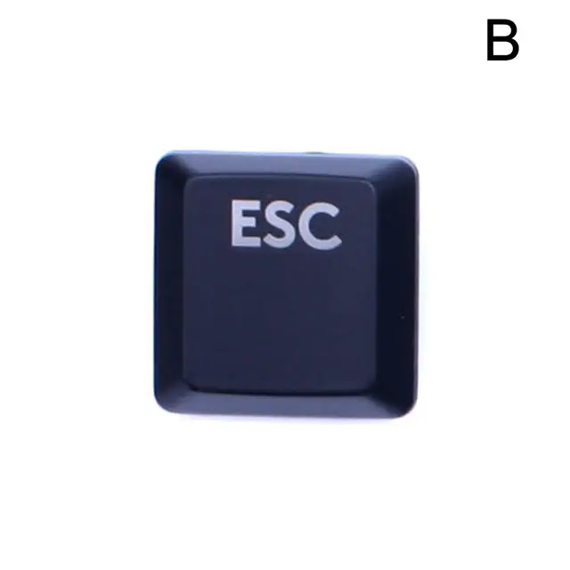 Store Home Products Summer Sale Feedback