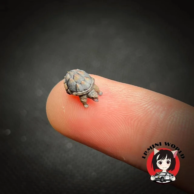Worlds Smallest Turtle