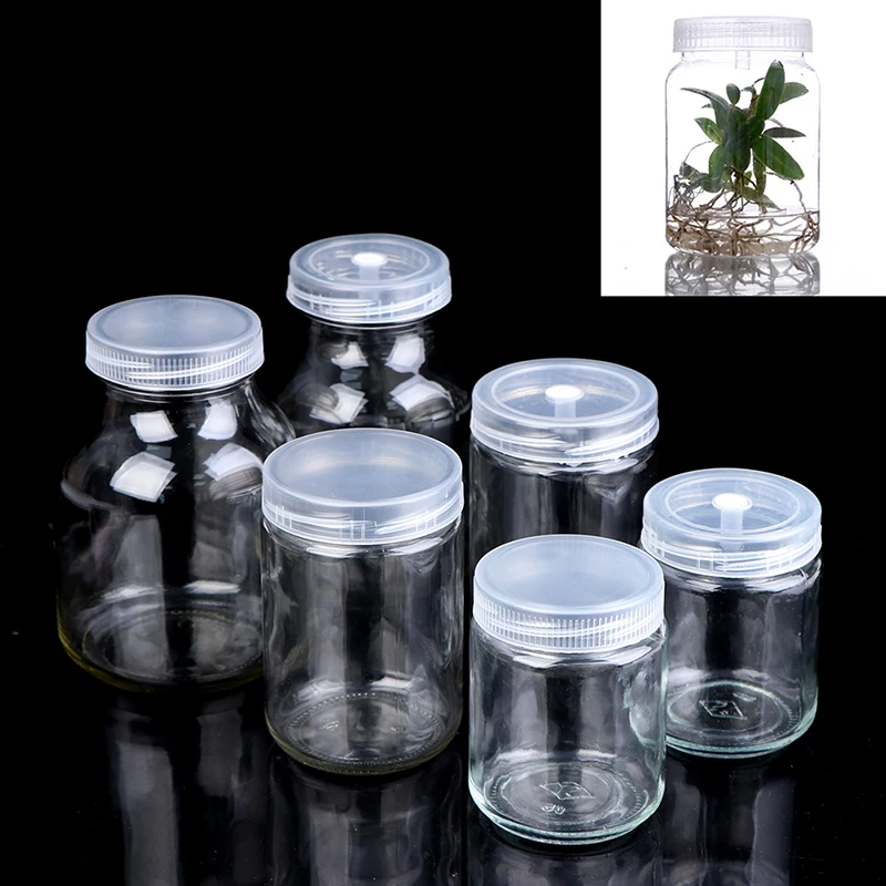 Plants Glass Jars For Bottle Seedling Tissue Culture High Temperature ...