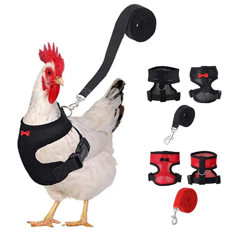 Adjustable-Chicken-Harness-Chicken-Walking-Harness-With-Leash-Small-Pet ...