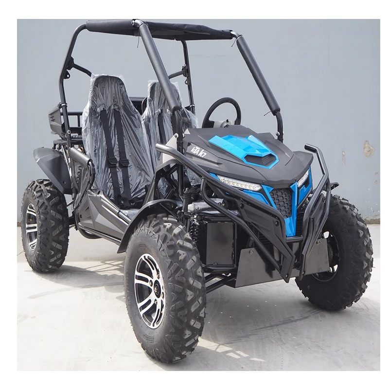 Fast-crazy-2-person-trailmaster-go-kart-buggy.jpg