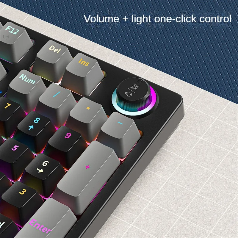 Double-Pair-Pluggable-Black-White-Computer-E-sports-Game-Office-98-Key ...