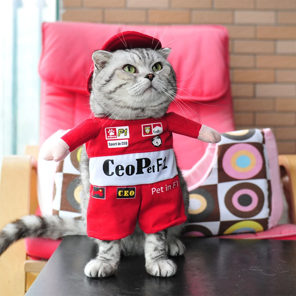 Funny Dog Costumes Lab