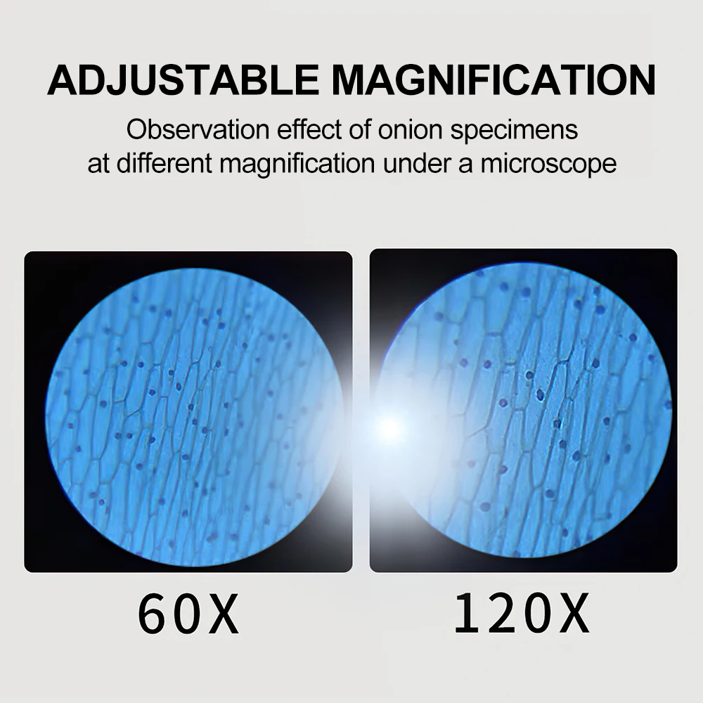 Microscope de Poche Enfant - Expert microscope