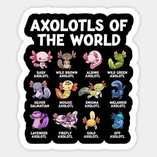 Enigma Axolotl