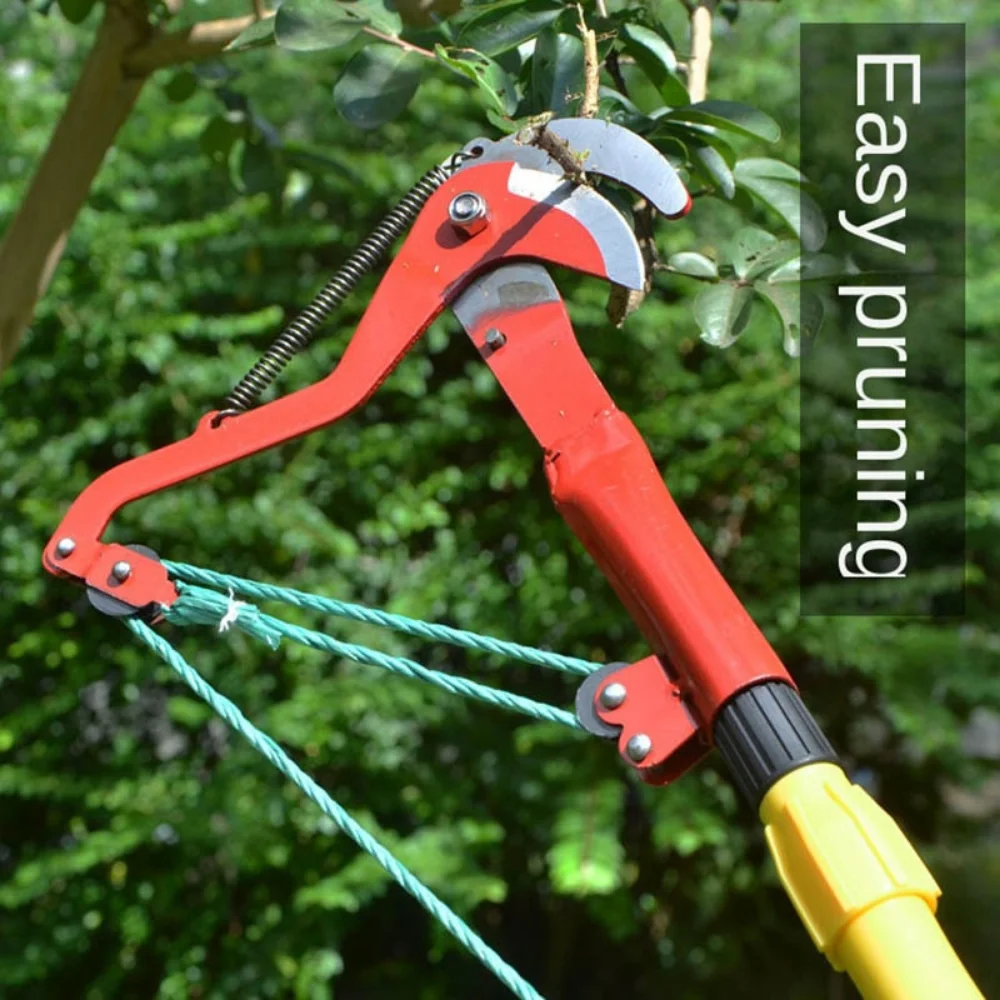 Donsail Picker Telescoping Adjustable Avocado Berry Picker Fruit Picker ...