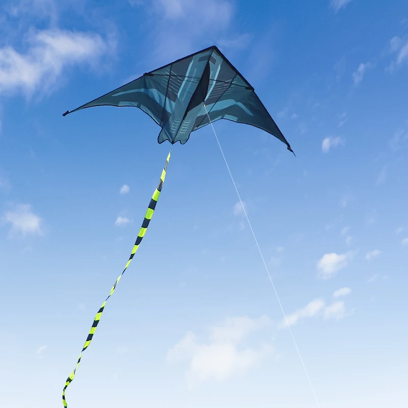 Yongjian-2m-Aircraft-Kite-Delta-Kite-Suitable-for-outdoor-camping-with ...