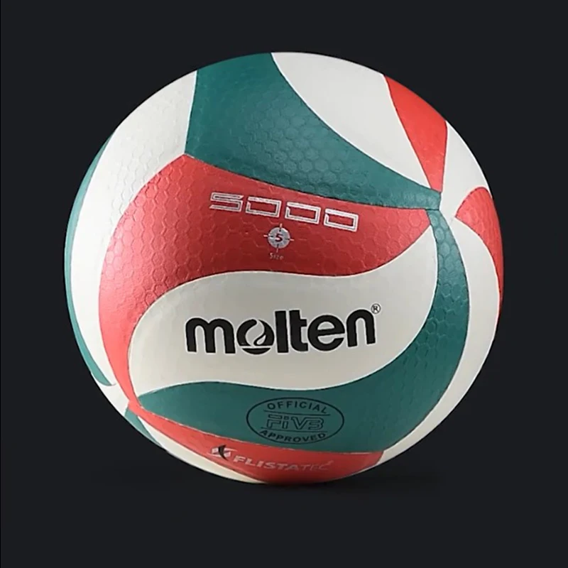 Volleyball Ball Molten