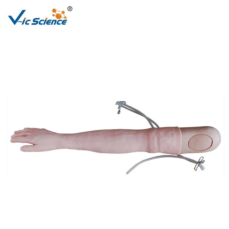 Medical-Advanced-Multi-Functional-IV-Training-Arm-Hand-Model.jpg
