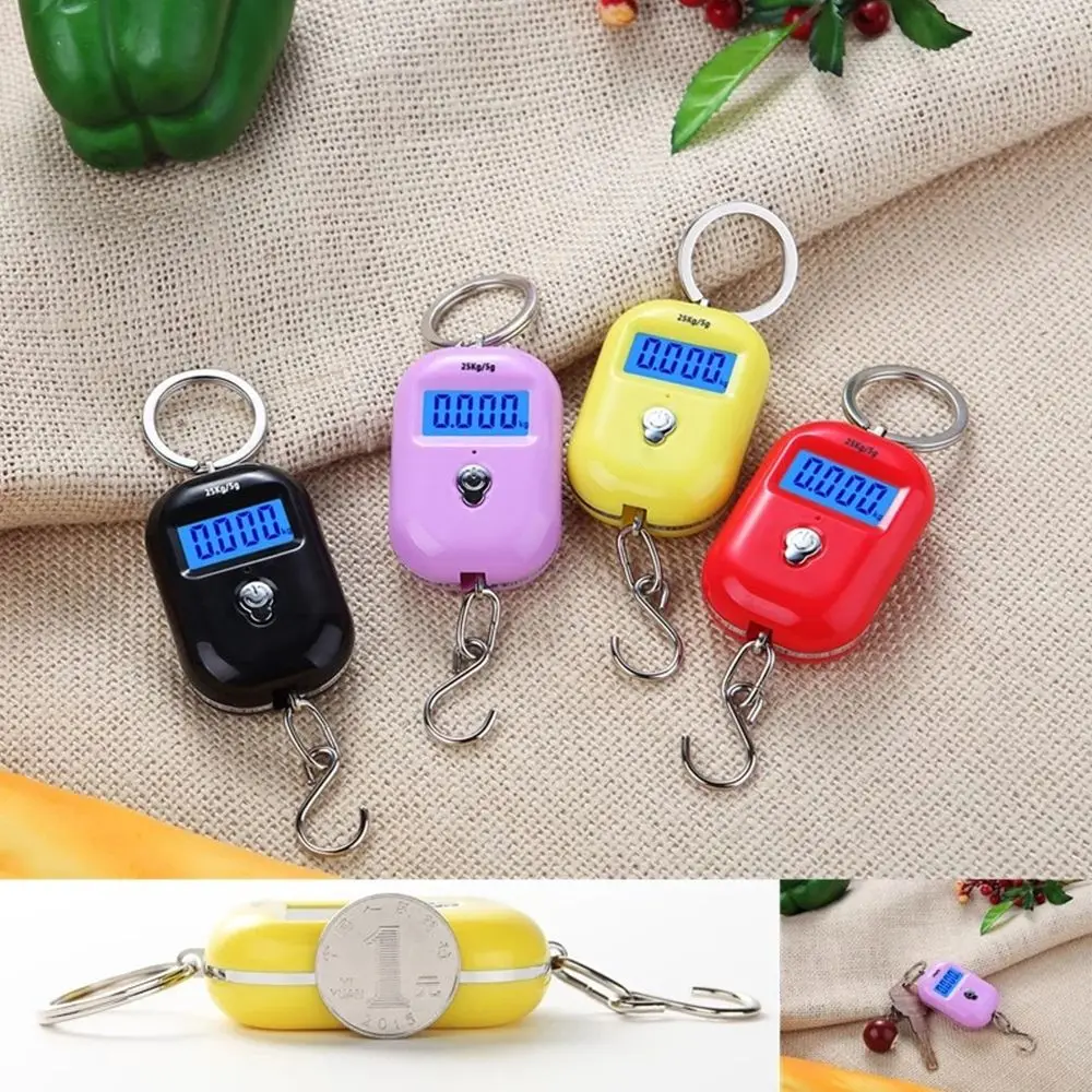 Balance numérique suspendue à Mini crochet 25kg-5g,outil de pesage ...