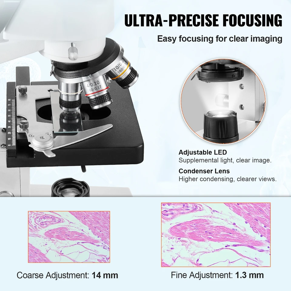 Microscopio Ottico Composto Moderno Immagini Stock Priorità Bassa