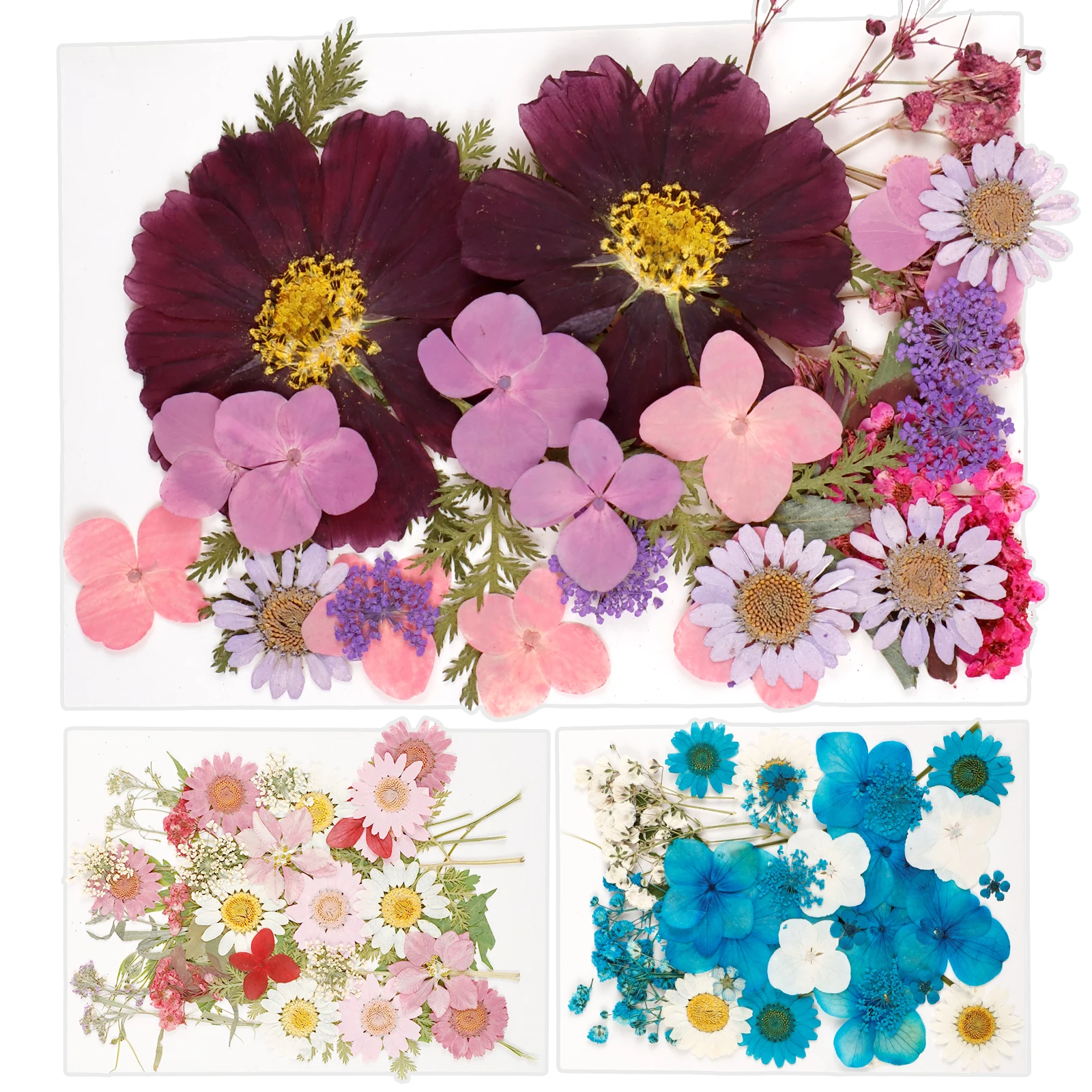 104Pcs-Pressed-Dried-Flowers-Set-Real-Natural-Pressing-Floral-Leaves ...