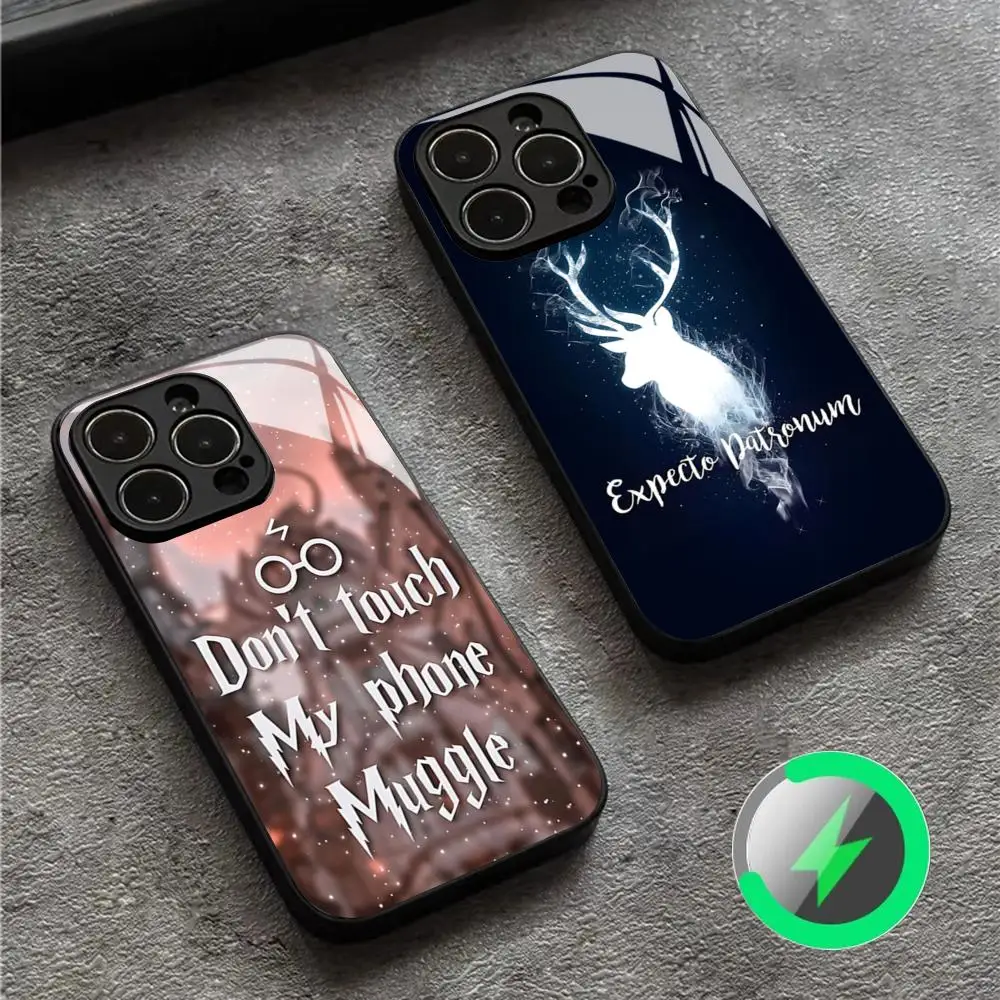 Potters-Ring-Wand-Harries-Phone-Case-for-Iphone-15-14-12-11-13-Pro-Max ...