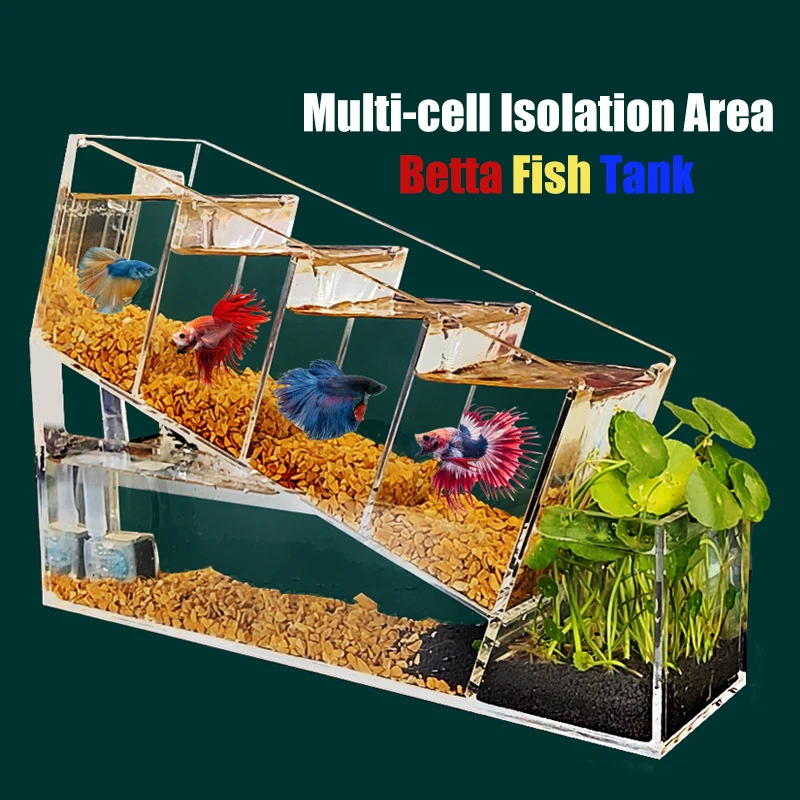 Multiple Betta Fish Tanks