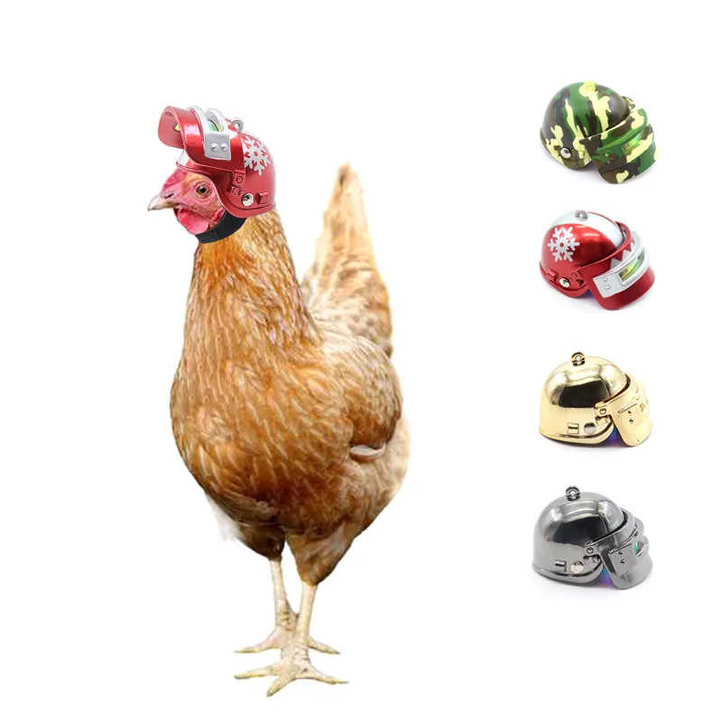 1-5PCS-Pet-Poultry-Bird-Helmet-Cap-Pet-Chicken-Helmet-Small-Duck ...