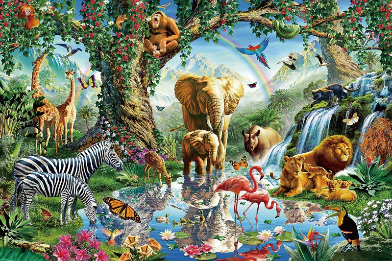Jungle Background With Real Animals