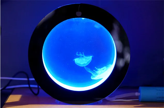 Desktop Jellyfish Tank Review