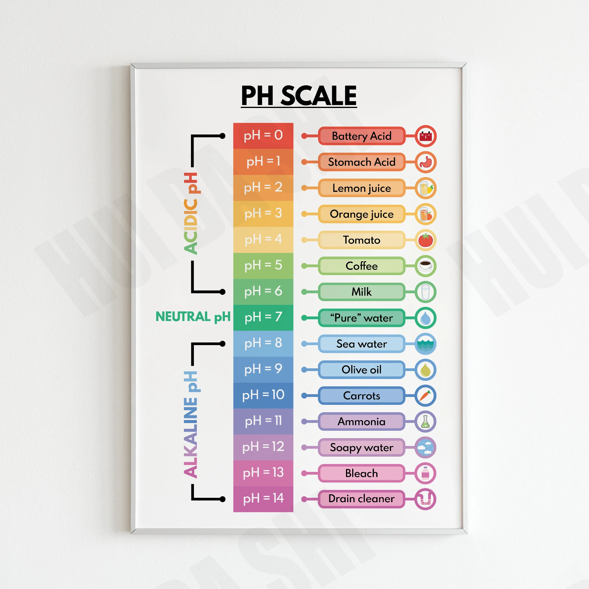 Ph Scale Science