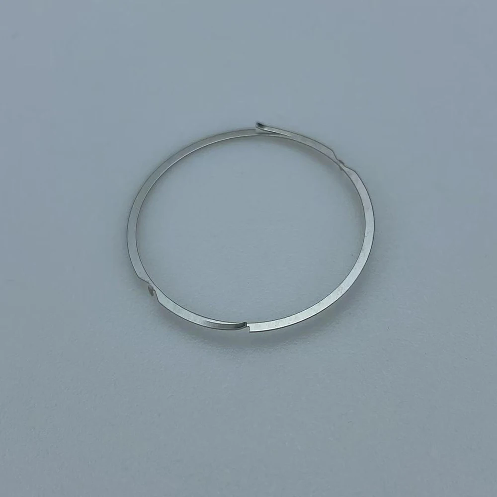 Turtle-Watch-Bezel-Click-Spring-Fit-for-Turtle-Watch-case-SKX-Bezel ...