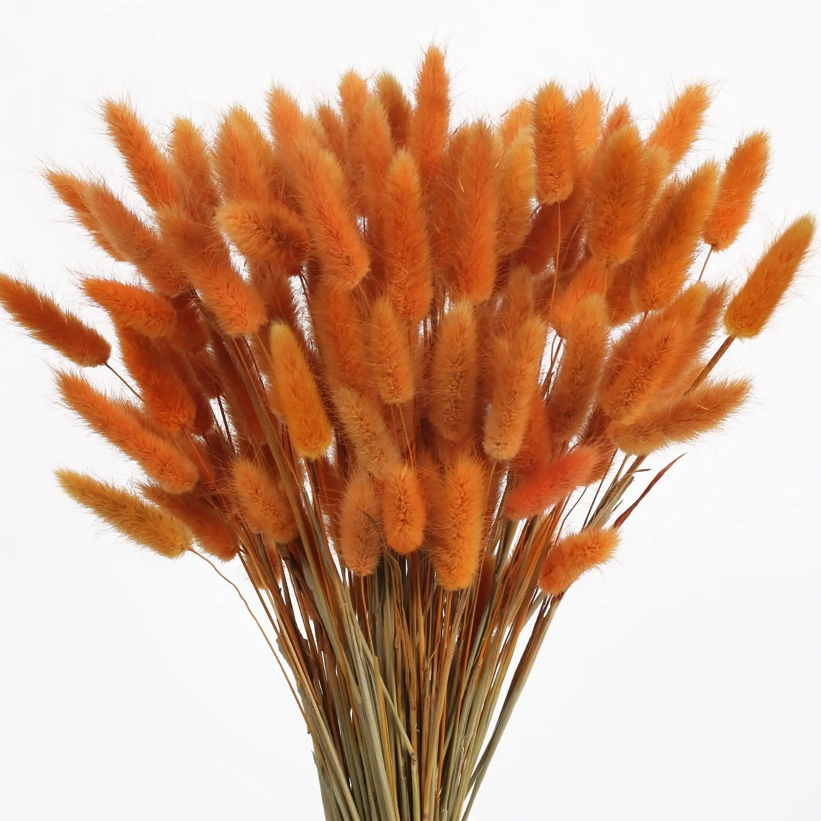 120Pcs-Dried-Flower-Rabbit-Tail-Boho-Decor-Natural-Bunny-Tails-Grass ...
