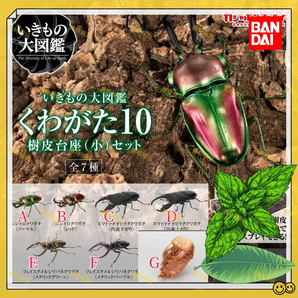 Bandai Original Biological Encyclopedia Gashapon Toys Stag Beetle ...