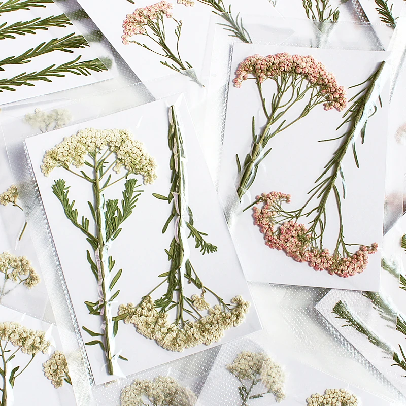 Dried-primary-color-flower-New-pressed-flower-DIY-drip-glue-phone-case ...