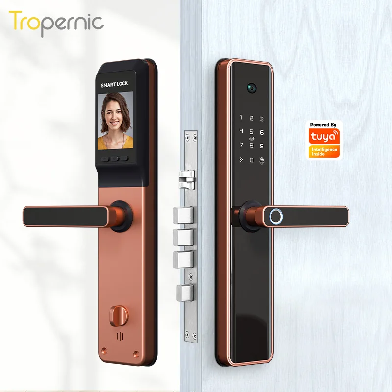 Electronic Door Locks Deadbolt | Tuya Smart Door Lock Fingerprint ...