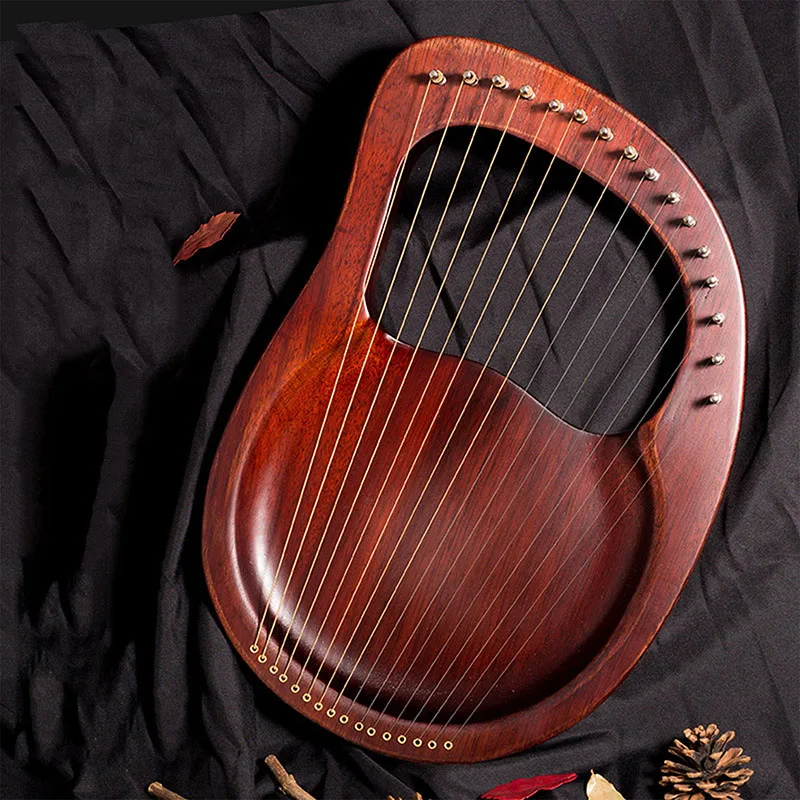 Unusual String Instruments