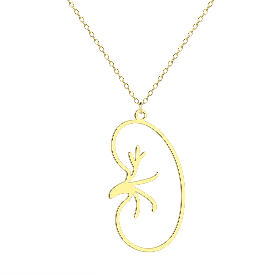 Stainless-Steel-Kidney-Transplant-Pendant-Urologist-Necklace ...