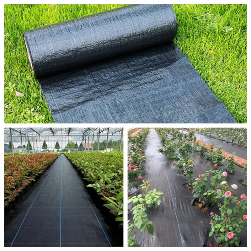 Black Plastic Weed Mat: The Real-World Performance of This Agricultural ...