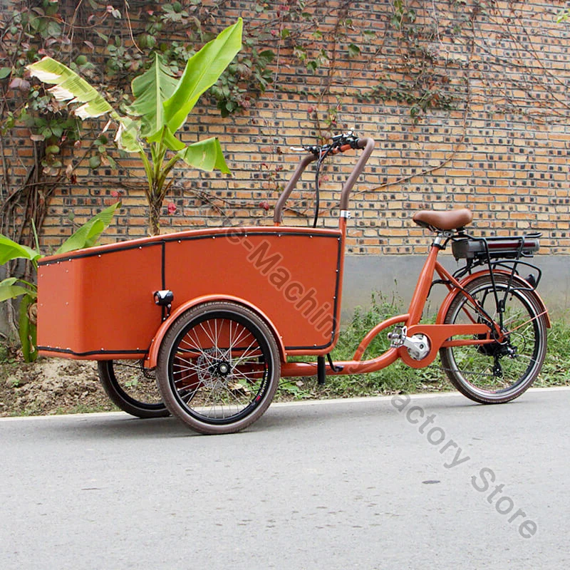 Bicicleta-el-ctrica-de-carga-estilo-europeo-con-3-ruedas-bici-de-carga ...