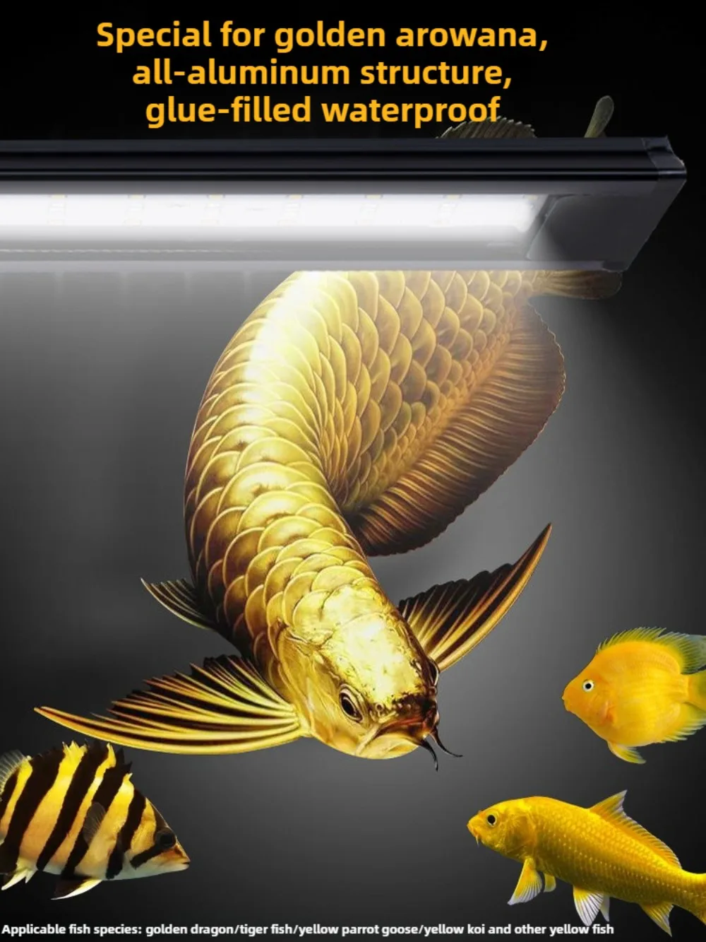 75W Aquarium LED Light Full Spectrum Yellow White Arowana Tanning Light ...
