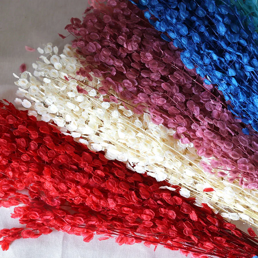 Preserved-100-Natural-Cui-Fan-Wholesale-Real-Eternal-Little-Fan-Flower ...