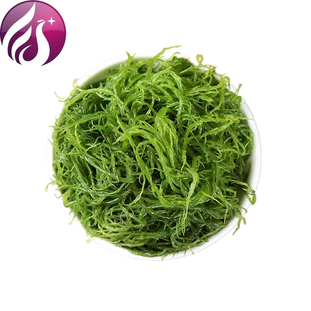 Carrageenan Seaweed