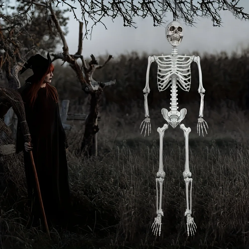 5-4ft-165cm-Halloween-Realistic-Full-Body-Skeleton-Life-Size-Human ...