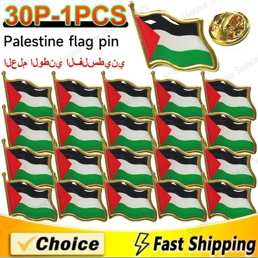 1-30PC-Palestine-National-Flag-Pin-Country-Flag-Metal-Lapel-Pin ...
