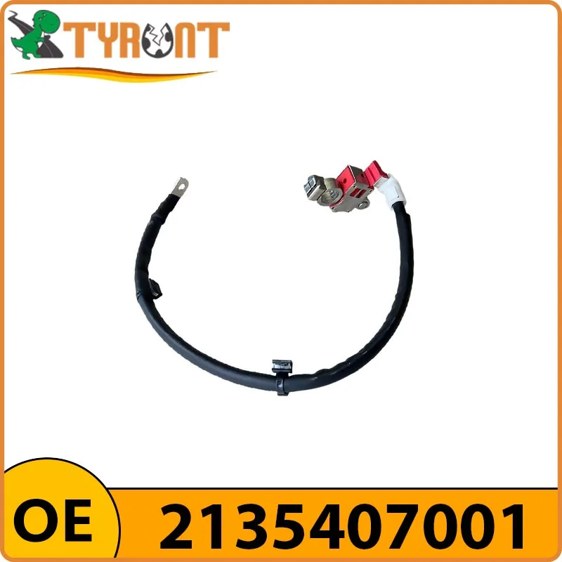 TYRNT Car Battery Positive Fuse Cable 2135407001 A2135407001 For ...