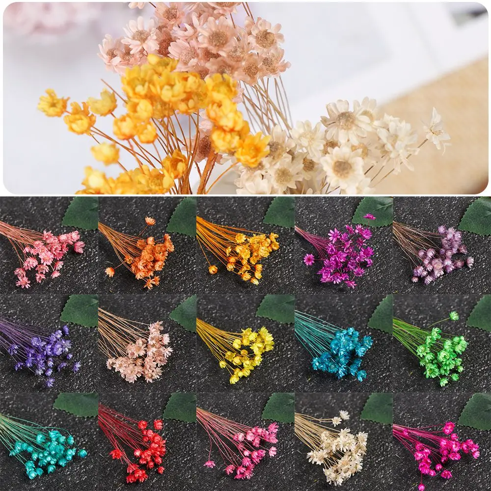 30pcs-Beautiful-Natural-Plants-Home-Decor-Floral-Bouquets-Dried-Flowers ...