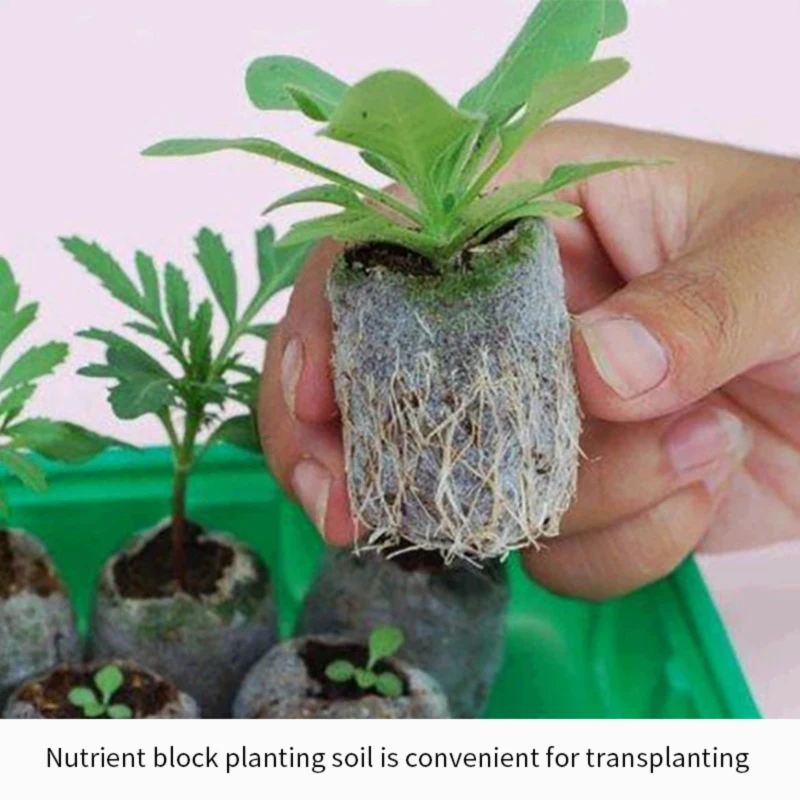 10pcs Seedling Nutrient Block Starting Plugs Seeds Starter Pallet ...