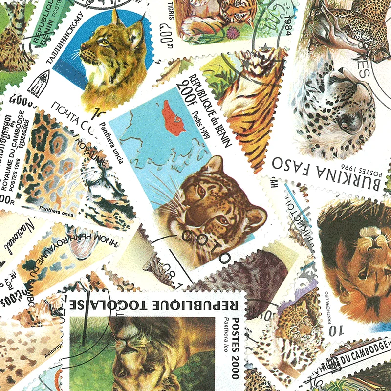 50 PCS/Lot,Topic Wild Cat ,Felidae Animals, Tigers,Leopards,lions ...