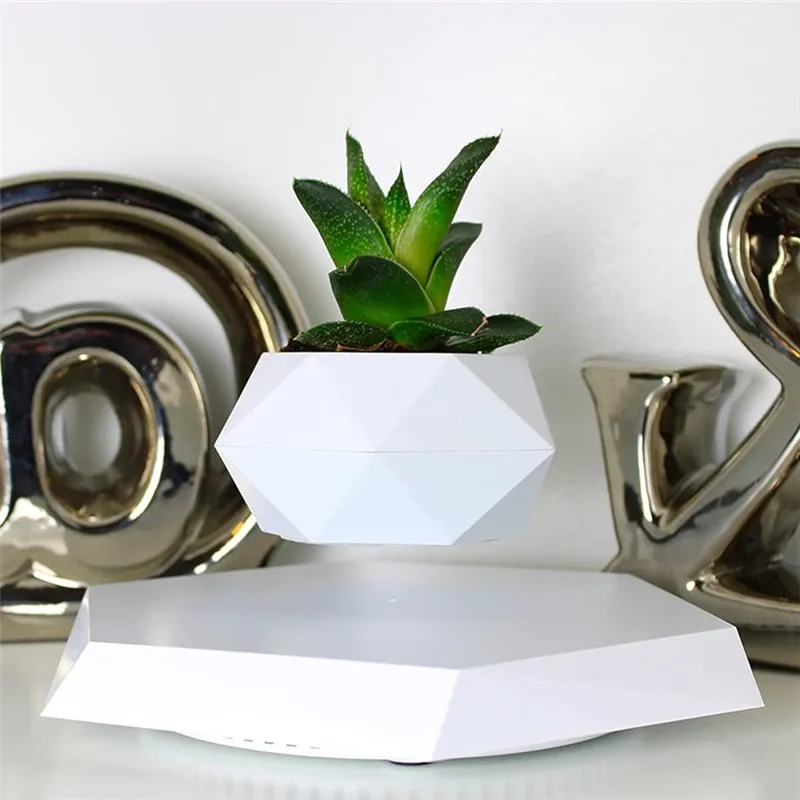 Magnetic-Floating-Display-Plant-Pot-for-Succulents-air-Bonsa-air-Plants ...