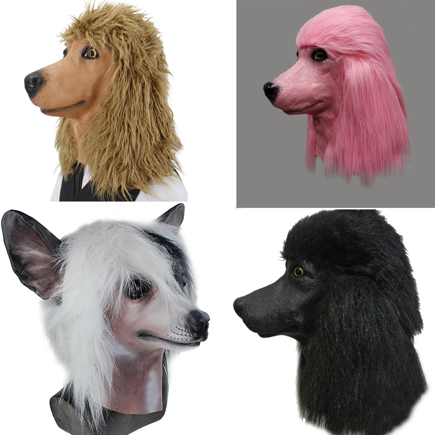 Who Is The Poodle On The Mask