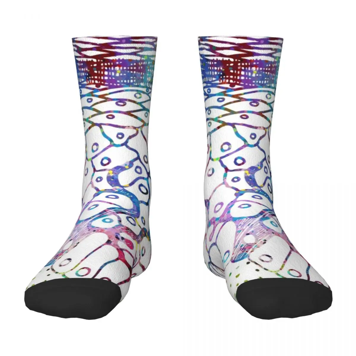 Human-Skin-Layers-Socks-men-cotton-high-quality-gifts-shoes-Socks-Men ...