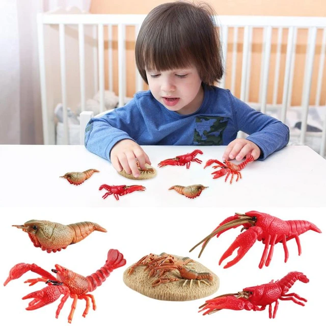 Crayfish Life Cycle For Kids